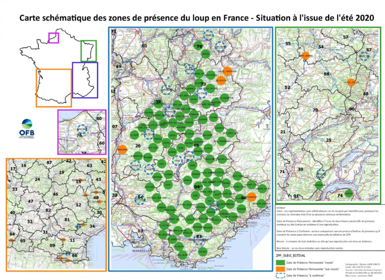 Bilan du suivi estival de la population de loup – Été 2020 | Le loup en ...